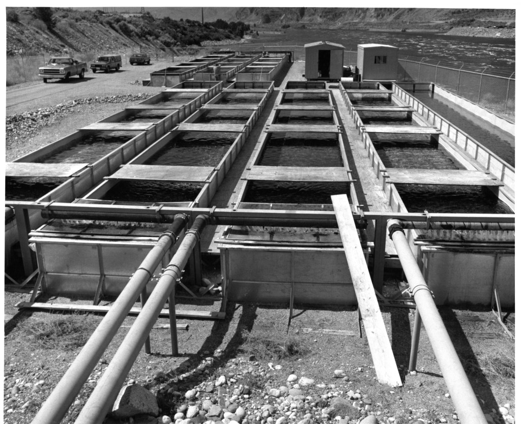 Aquaculture Tanks | Modutank