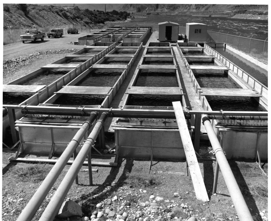 Aquaculture Tanks | Modutank